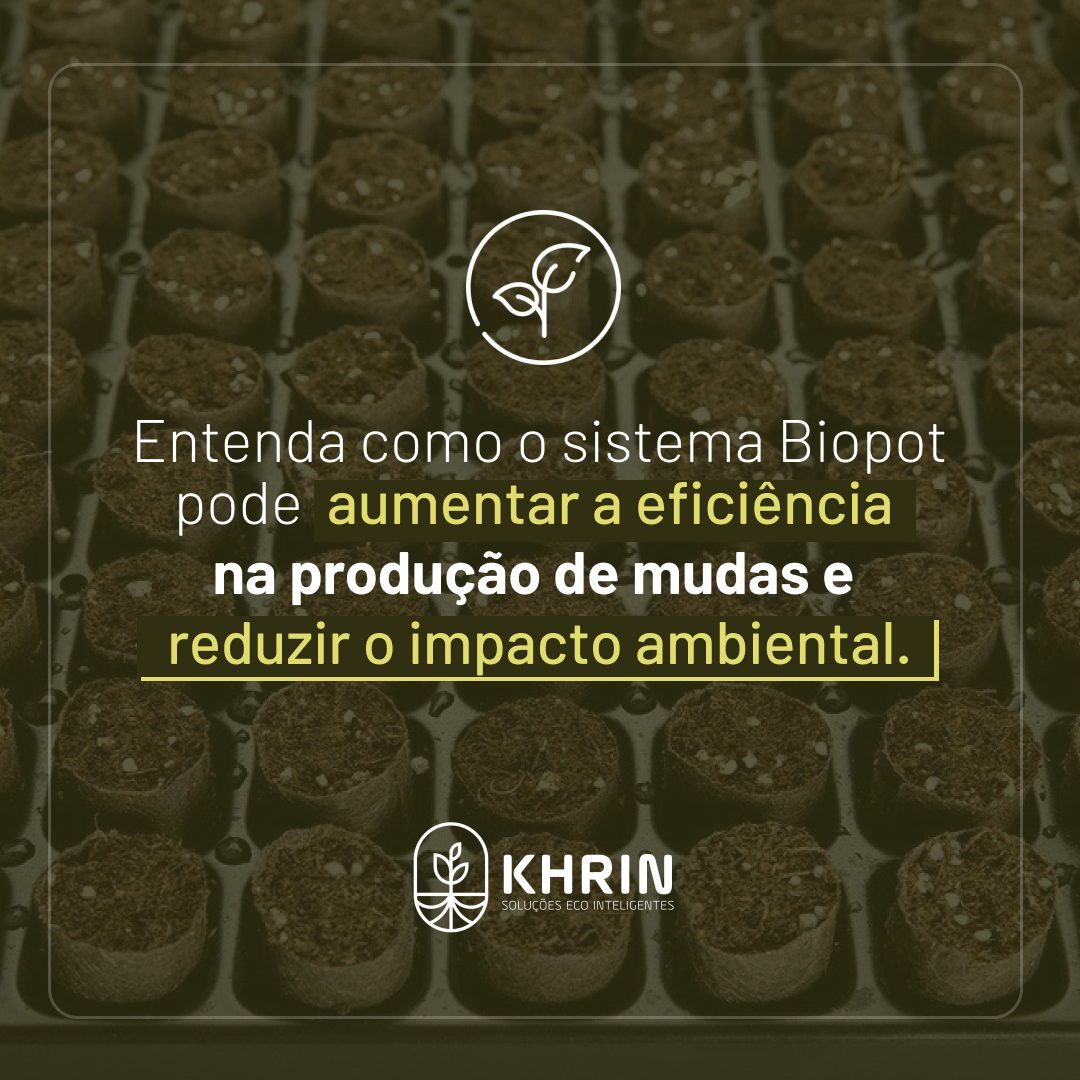 Biopot aumenta a eficiência na produção de mudas - Khrin